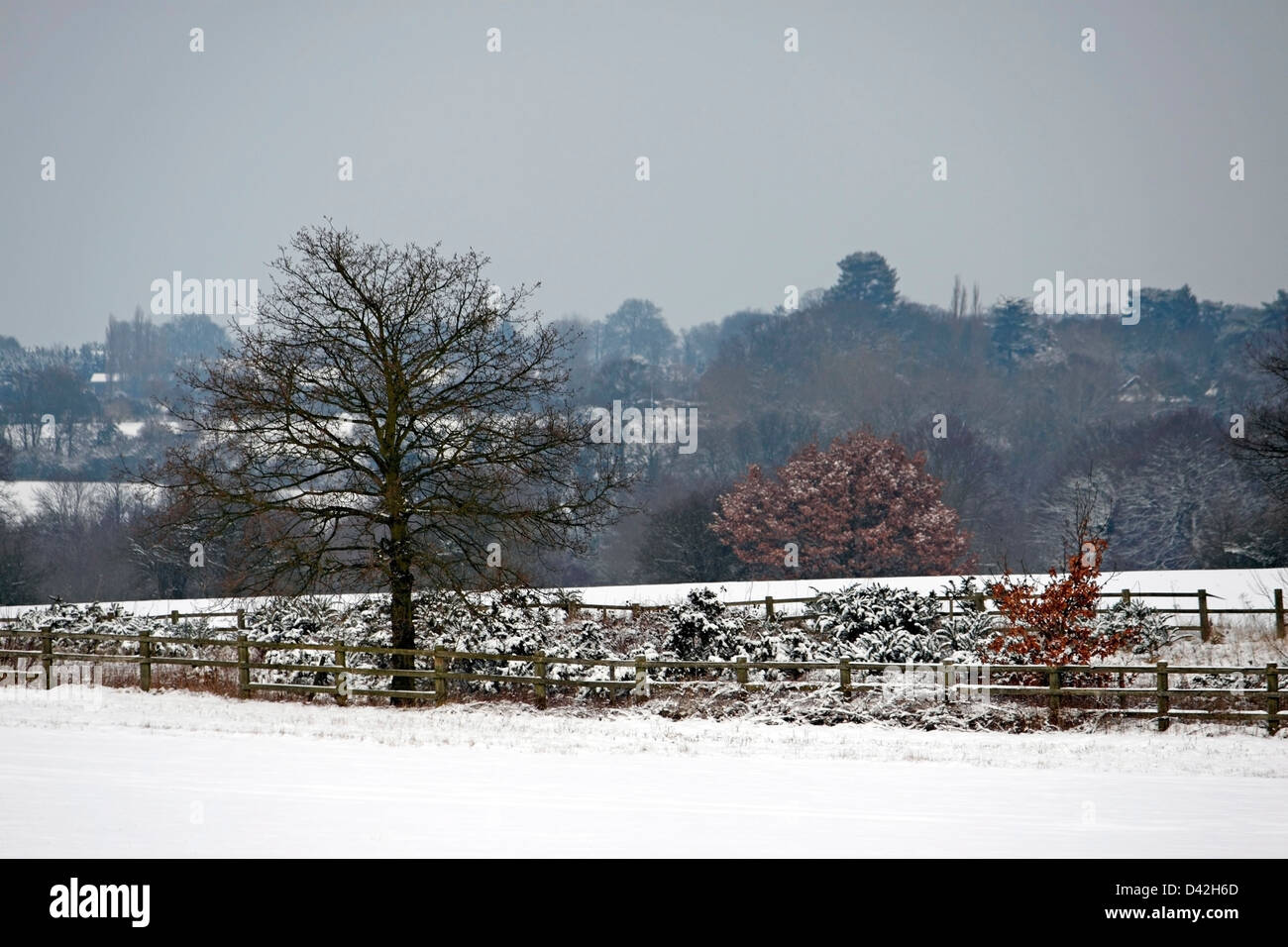 Deep of field hi-res stock photography and images - Alamy