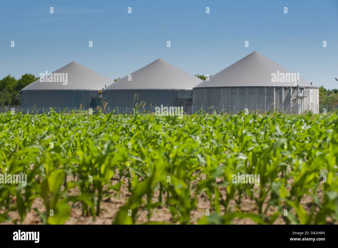 Schoenwald, Germany, biogas plant Stock Photo - Alamy