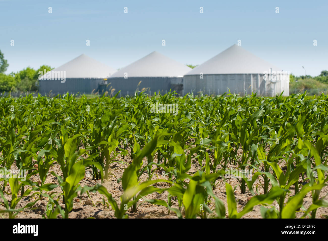 Schoenwald, Germany, biogas plant Stock Photo - Alamy