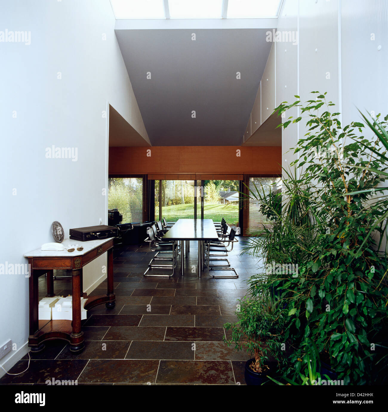 Group of green houseplants in large, modern open-plan hall and dining ...