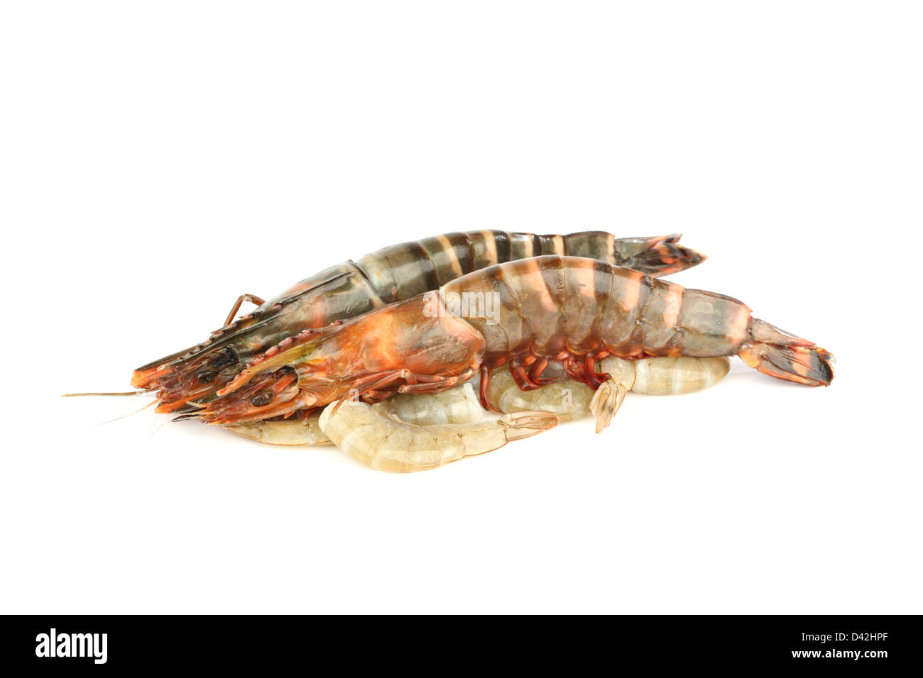 Fresh raw shrimp meat Cut Out Stock Images & Pictures - Alamy