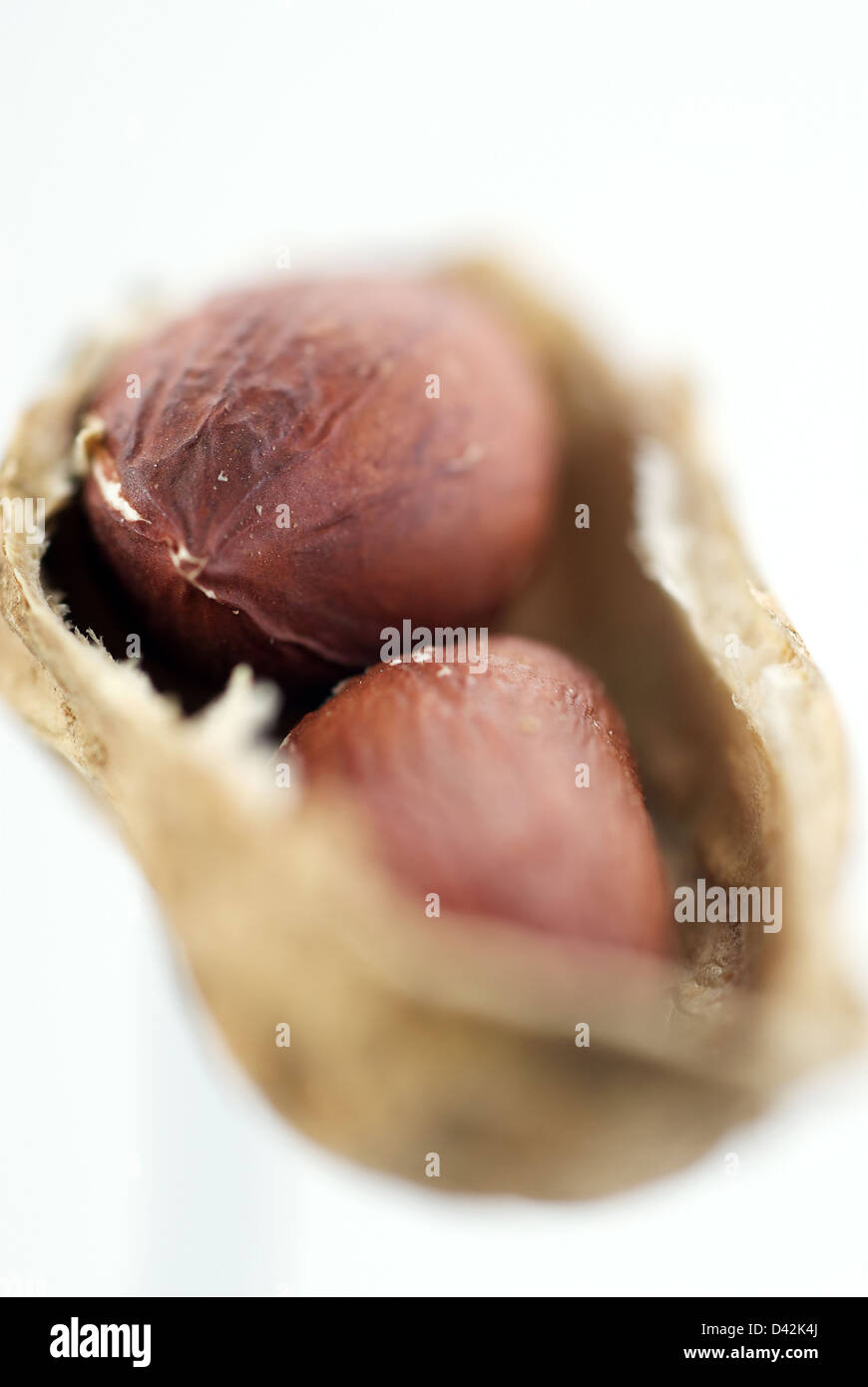 Peanut product hi-res stock photography and images - Alamy