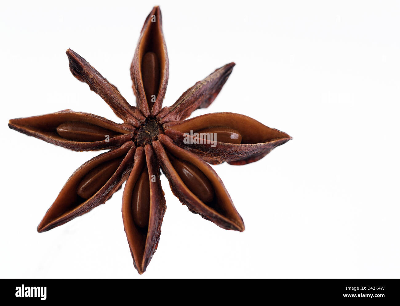 To anisstern hi-res stock photography and images - Alamy