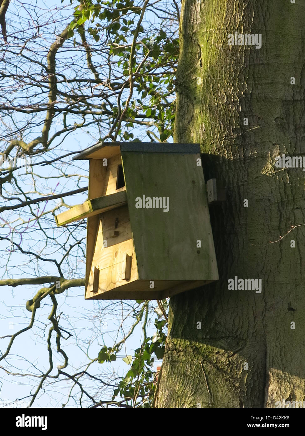 Owl Nesting Box Stock Photo - Alamy