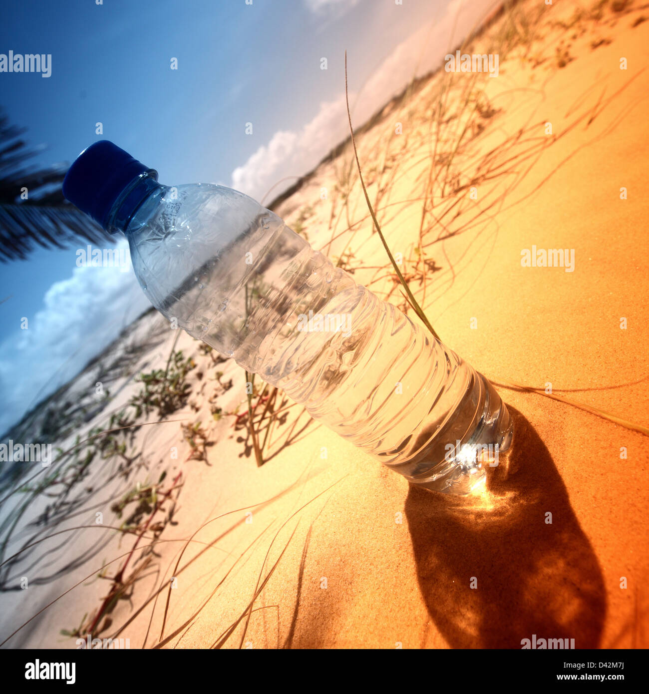 desert water in oasis palm shadow Stock Photo - Alamy