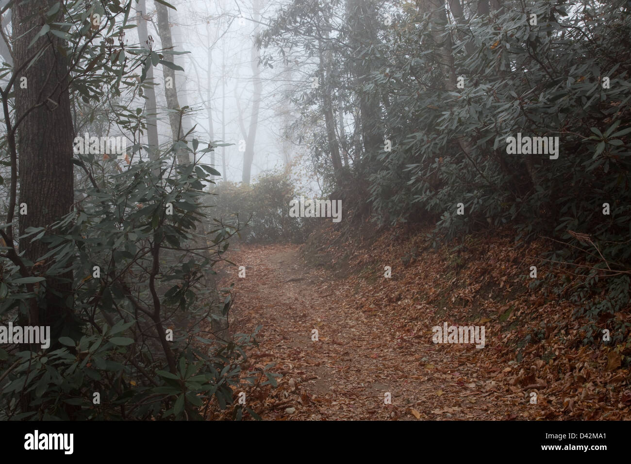 Mountain path hi-res stock photography and images - Alamy