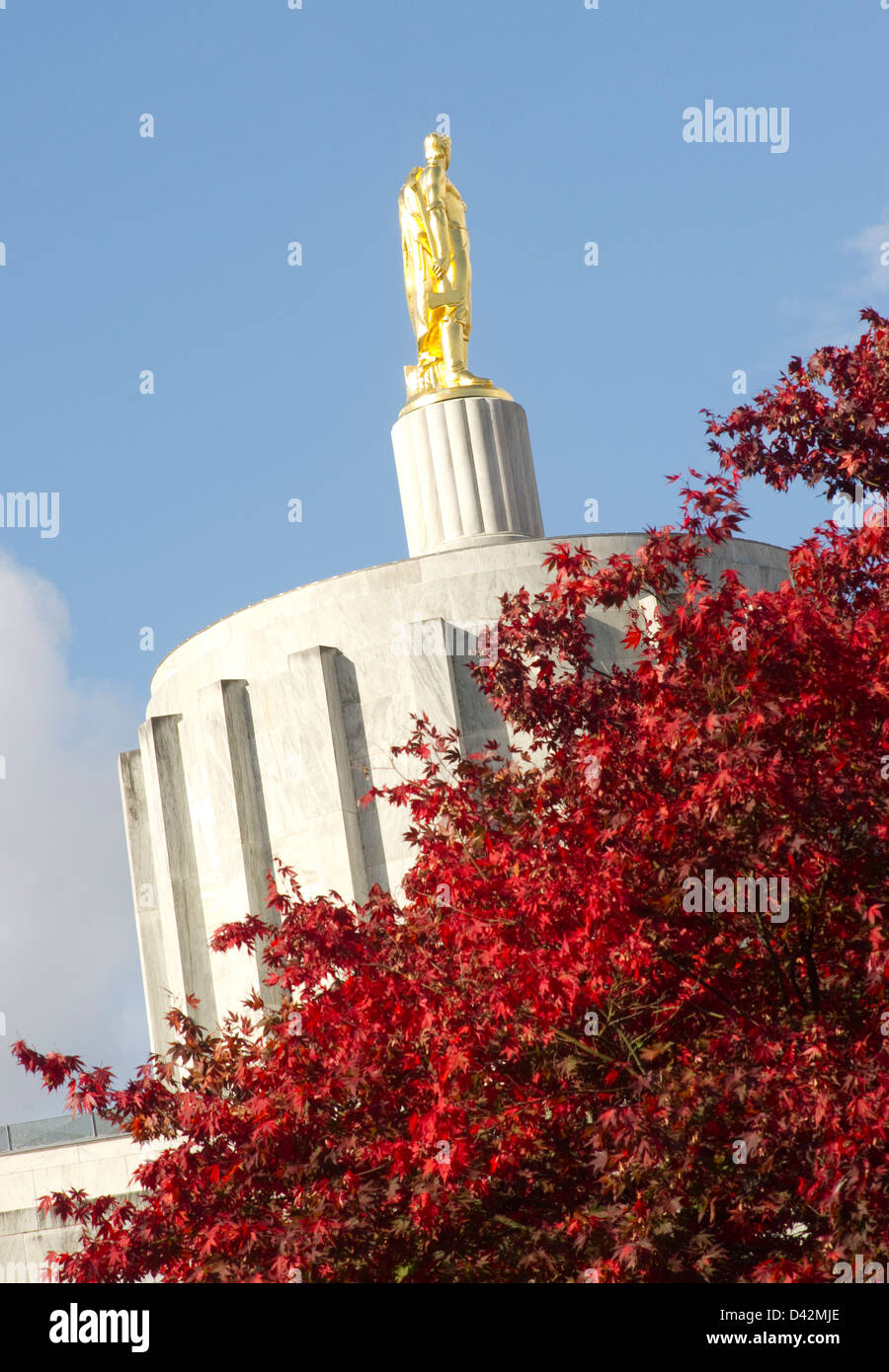 A Red Maple stands in front of the Capital Building in Salem Stock ...