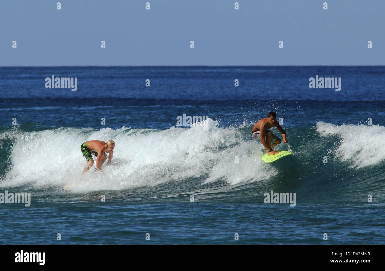 surfer riding wave Hawaii the Big Island pacific ocean surf surfing ...