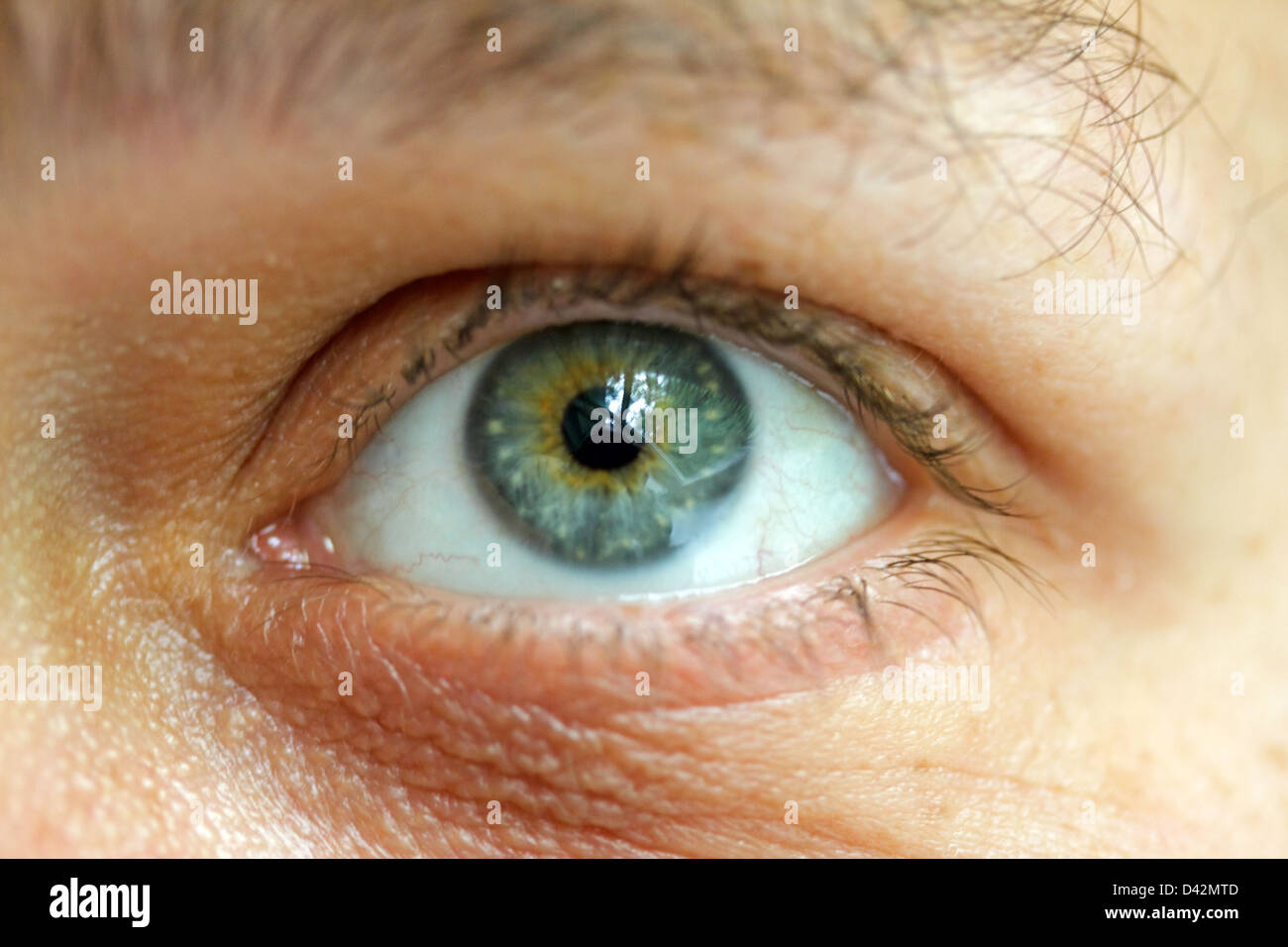 German woman germany blue eyes hi-res stock photography and images - Alamy