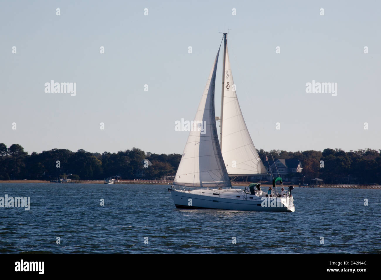 Sailboat floating on a river, with trees from the bank on the other ...