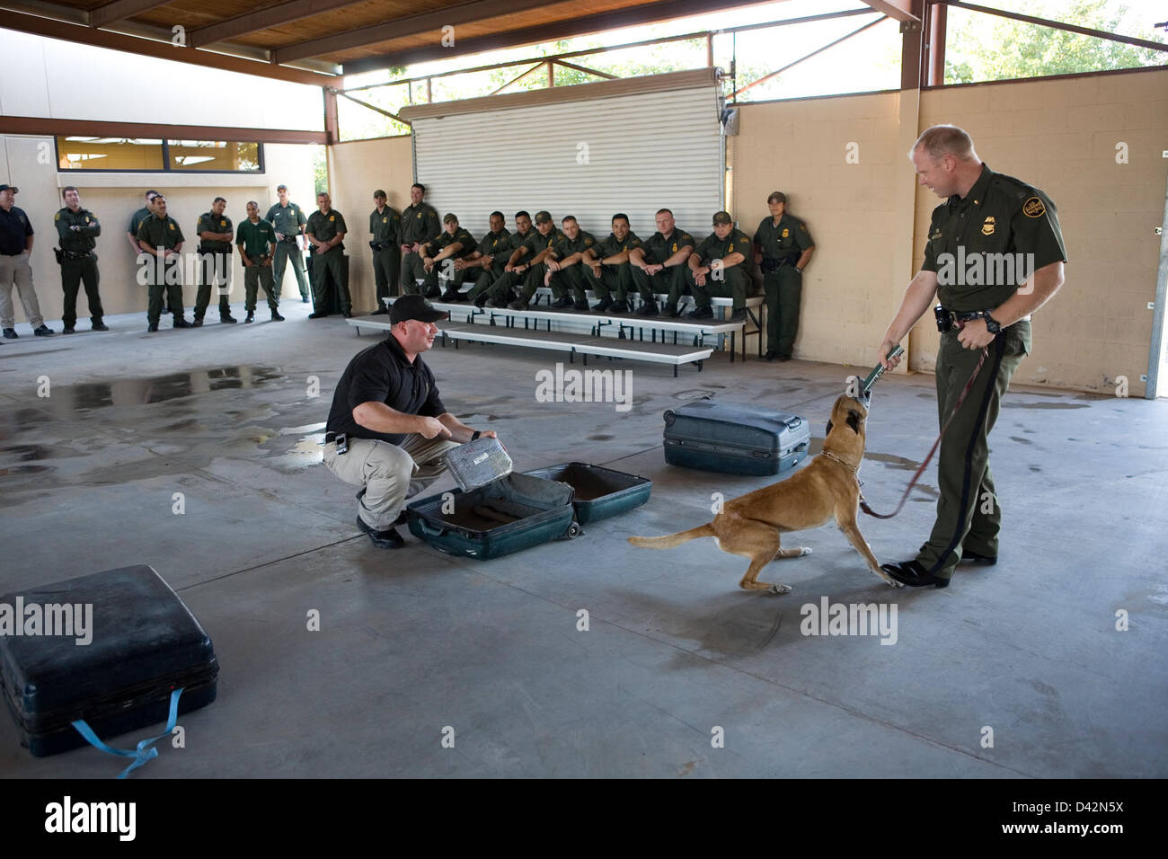 Customs and Border Protection Operations Stock Photo - Alamy