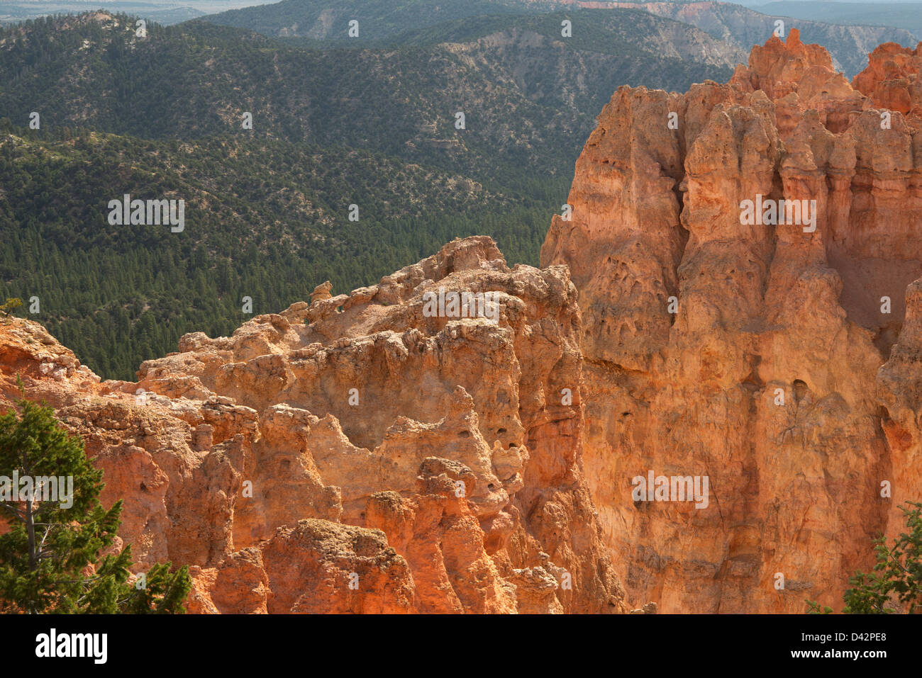 Bryce Canyon National Park, Utah, USA Stock Photo - Alamy