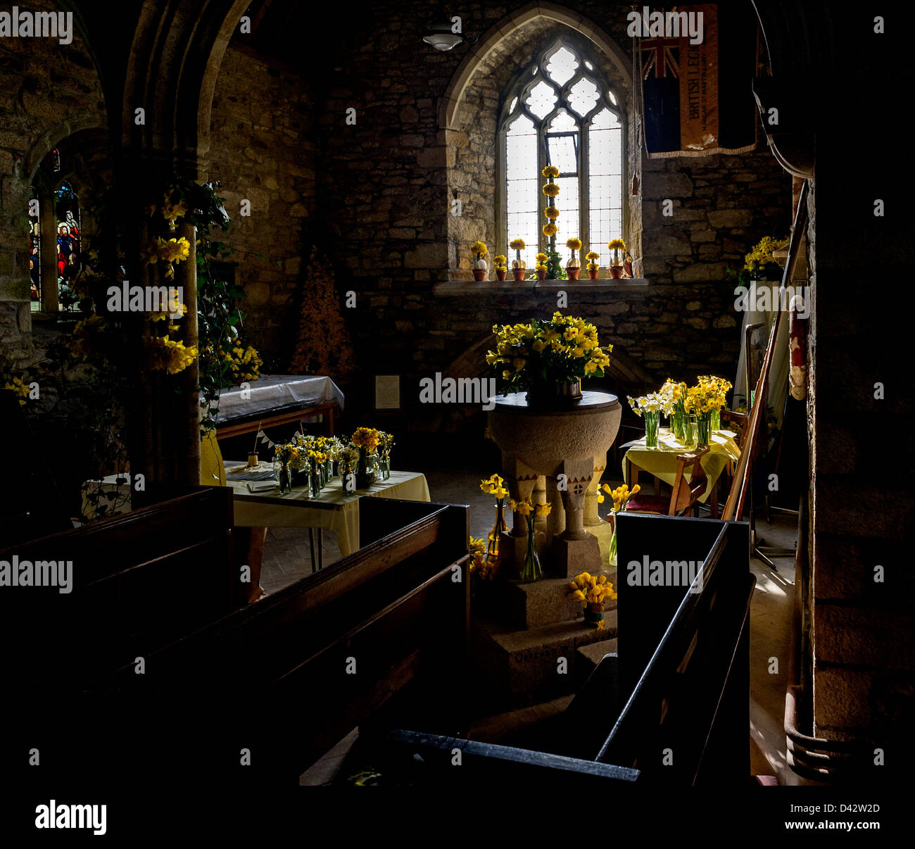The daffodil Festival at St Mawgan-in-Meneage Church in Cornwall Stock ...