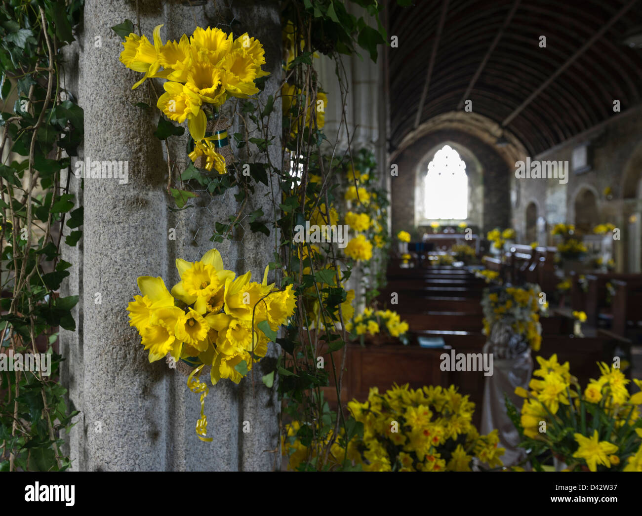 The Daffodil Festival at St Mawgan-in-Meneage Church in Cornwall Stock ...