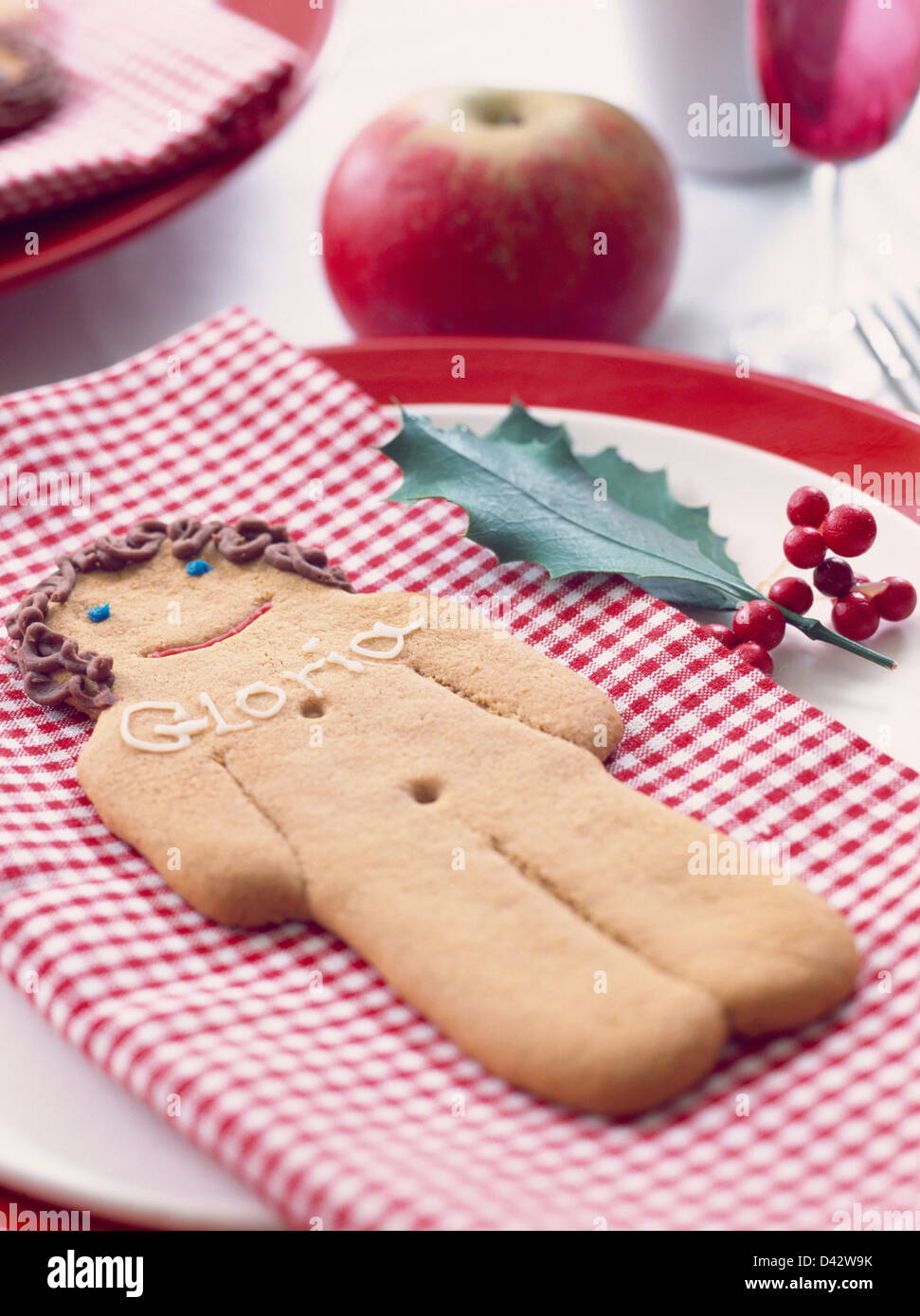 Close-up of gingerbread man with iced place name on red gingham table ...