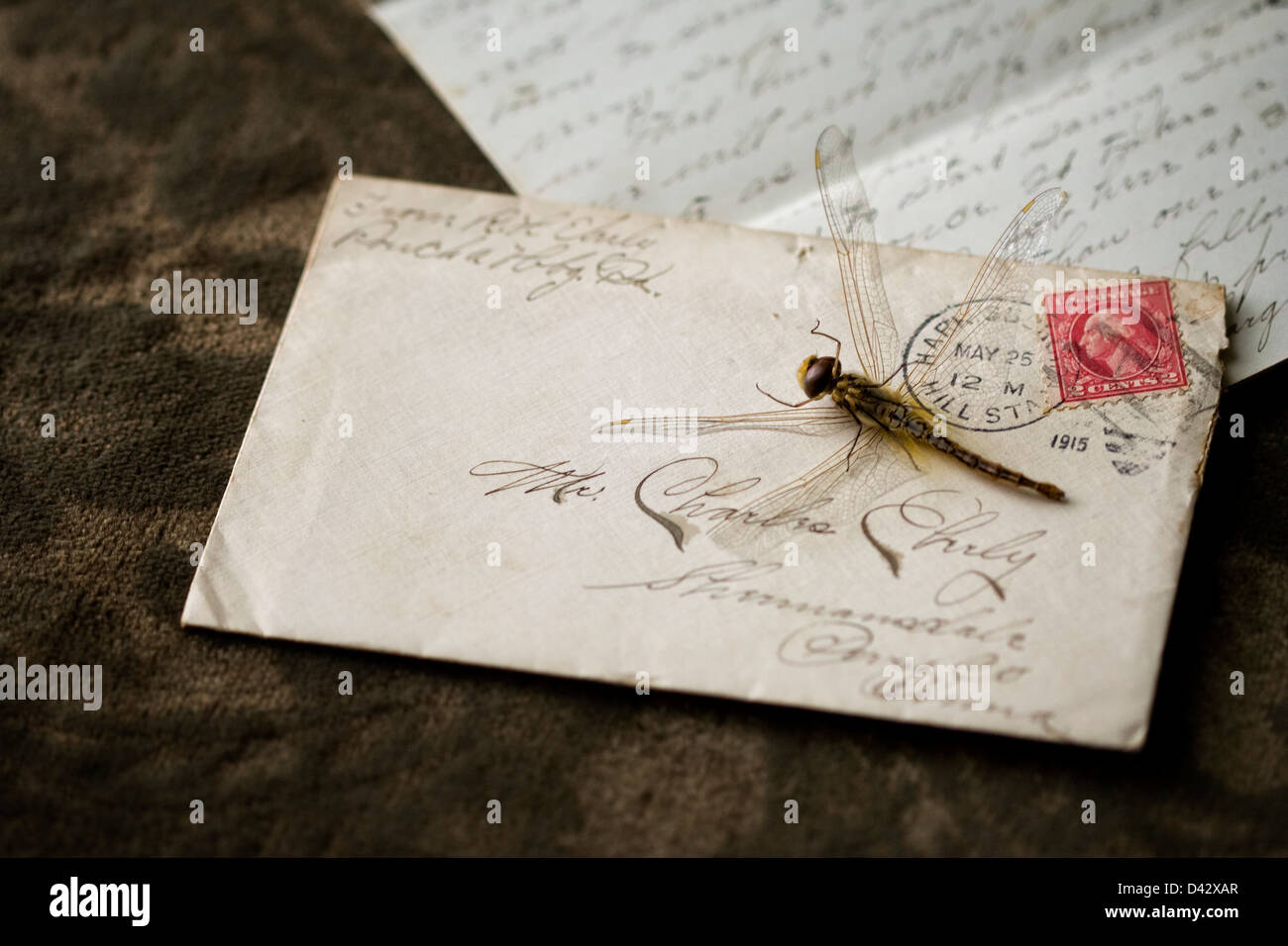 An old letter sits on a brocade table top along with a dragonfly Stock ...