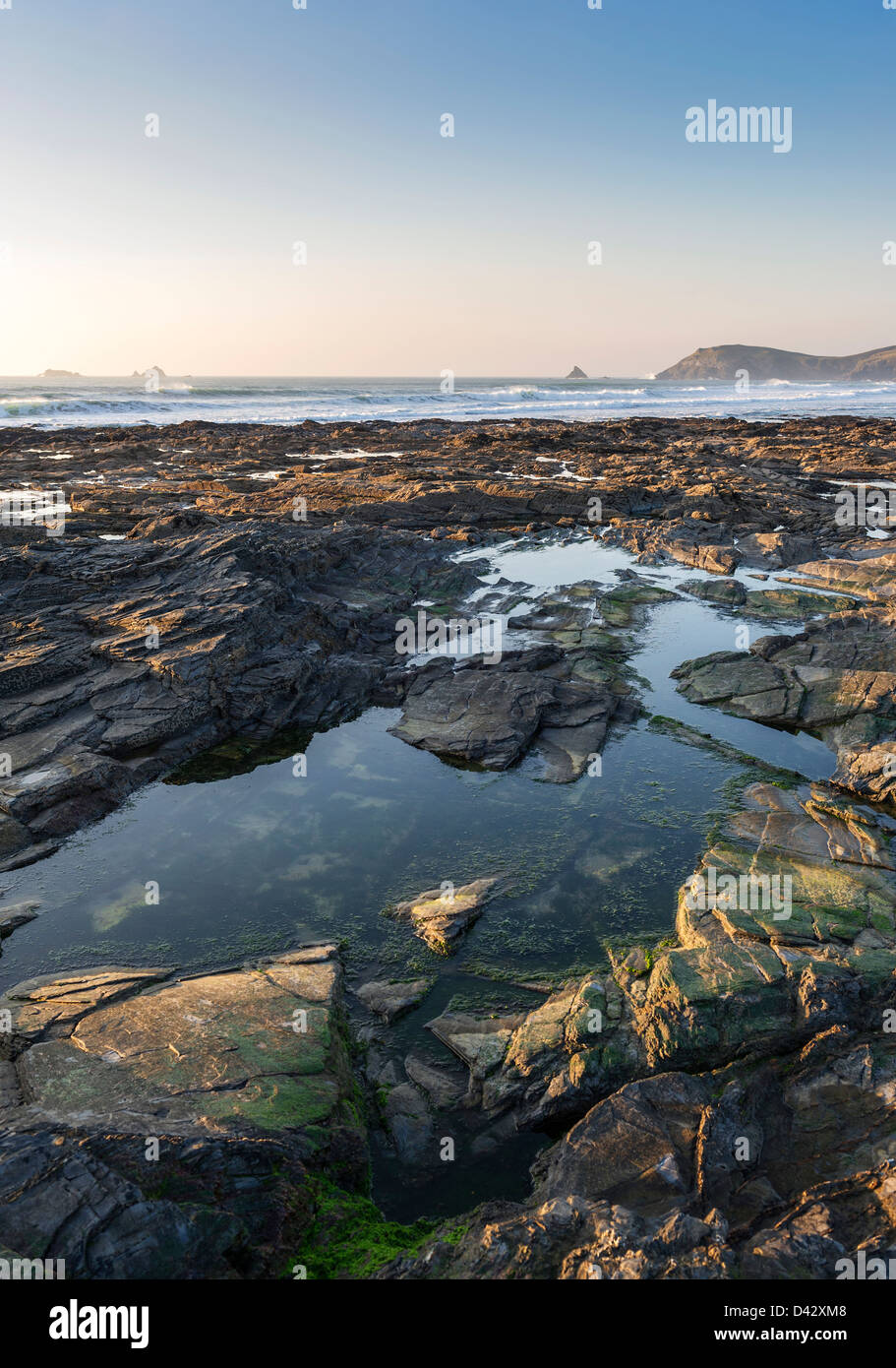 Rock pools at low tide at Constantine Bay in Cornwall Stock Photo - Alamy