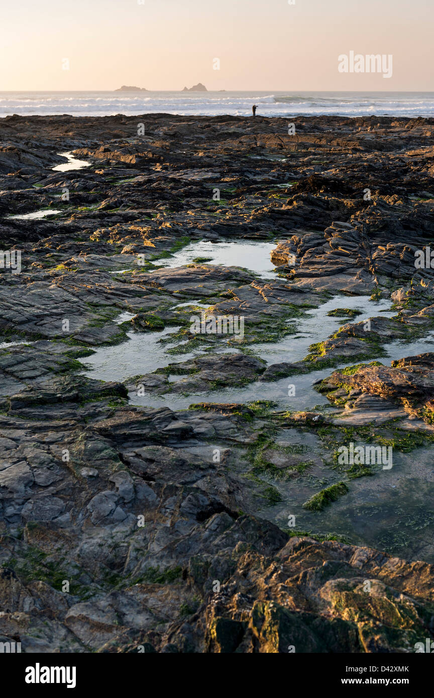 Rock pools at low tide at Constantine Bay in Cornwall Stock Photo - Alamy