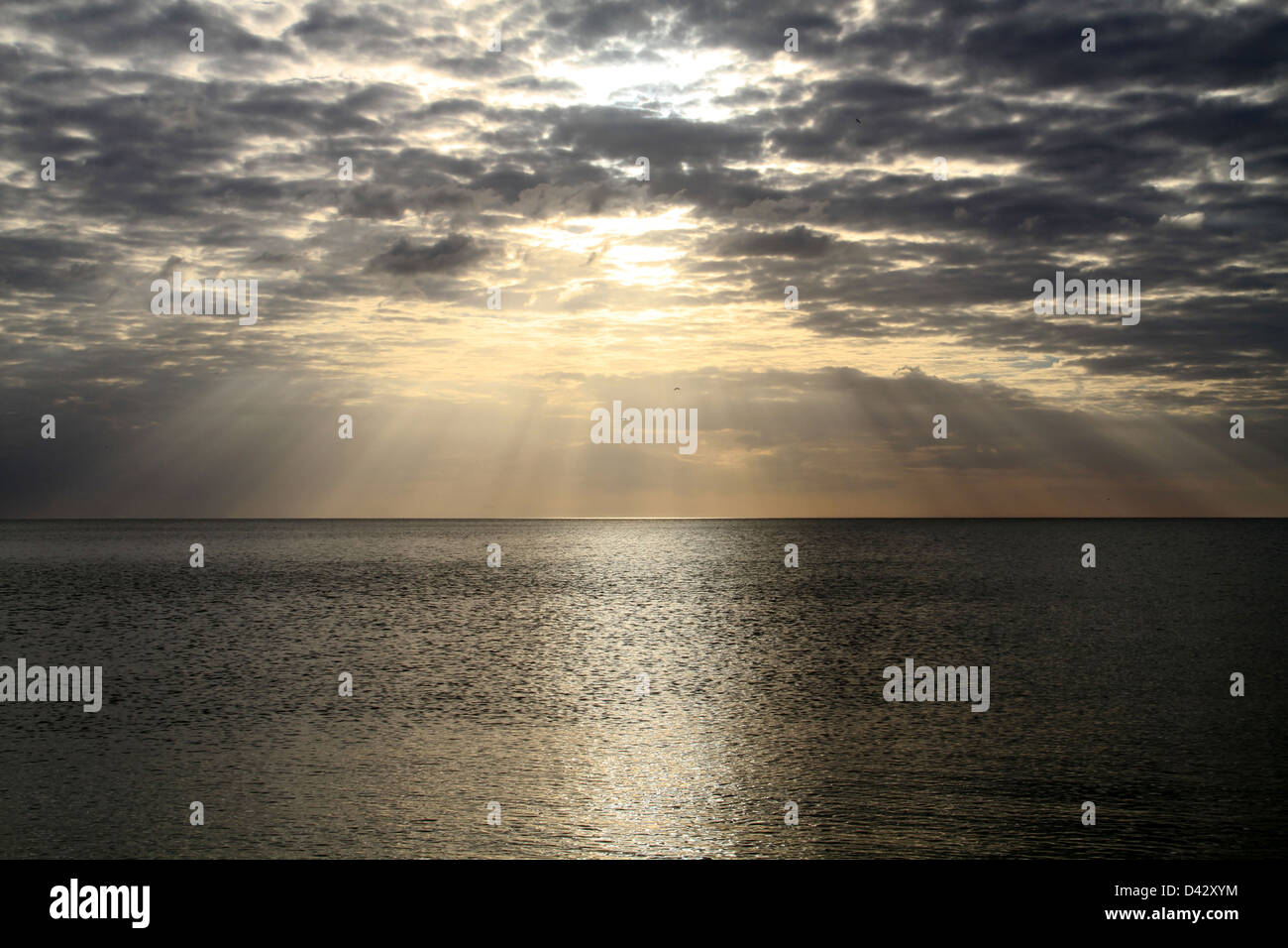 Spreading sun rays hi-res stock photography and images - Alamy