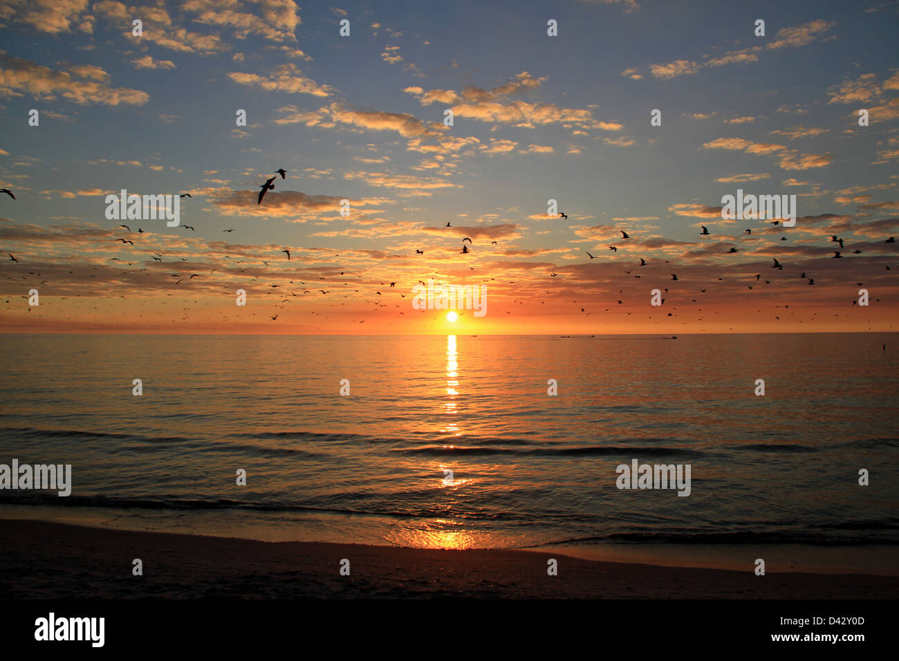 Awesome sunset hi-res stock photography and images - Alamy