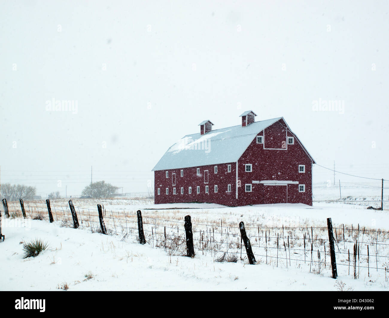 Red barn in snow storm in Colorado Stock Photo - Alamy