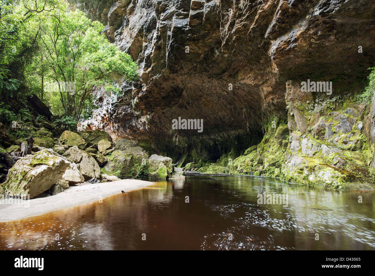 Oparara River Arch. Image taken on the far, and normally inaccessible ...