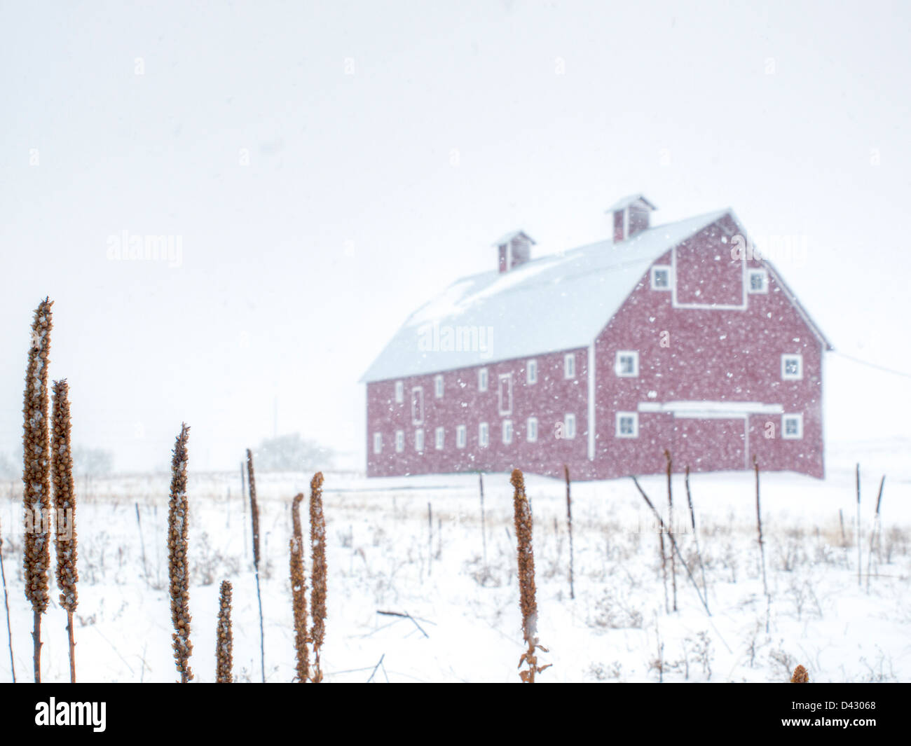 Red barn in snow storm in Colorado Stock Photo - Alamy