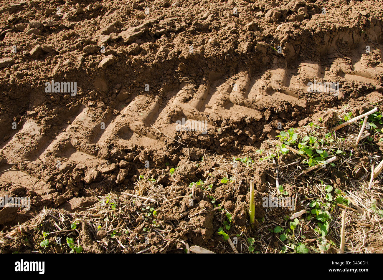 closeup of tractor heavy equipment wheel mark trail on soil of ...