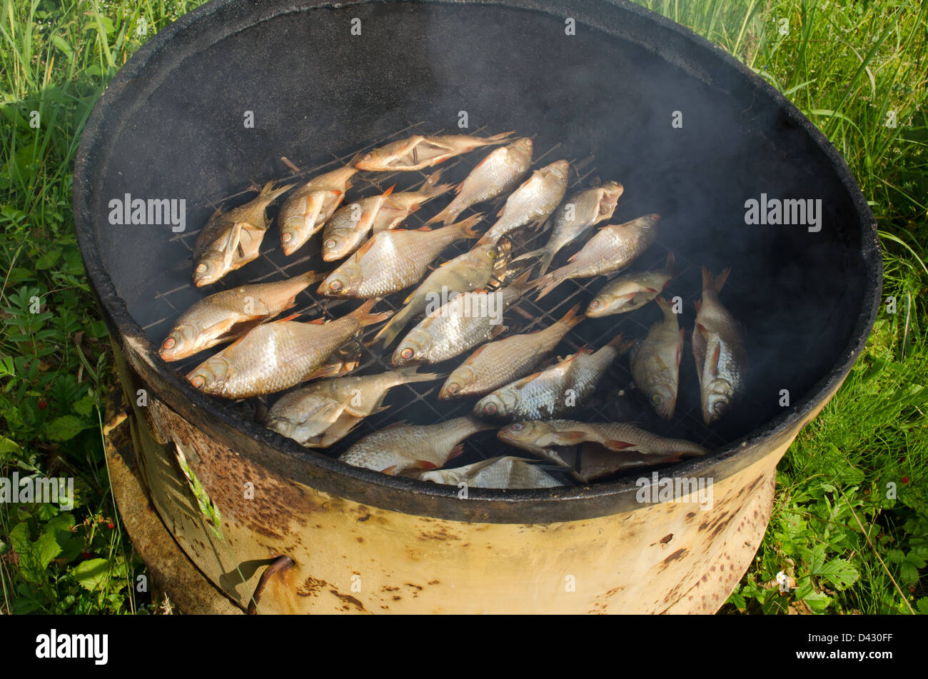 closeup of ecologic salted fish smoke in smokehouse smoke house made of ...