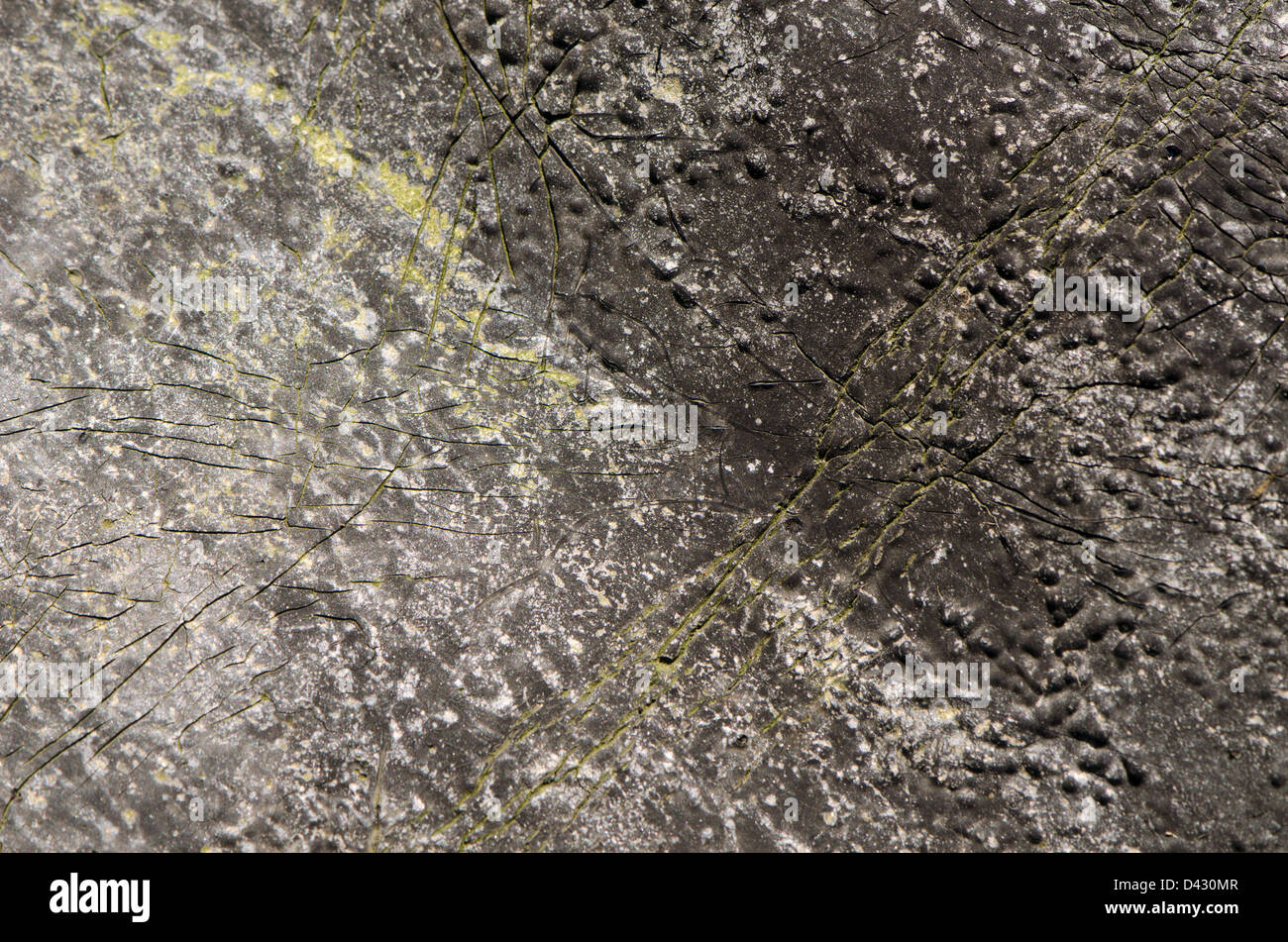 bumpy dirty stagnant tar background texture closeup Stock Photo - Alamy