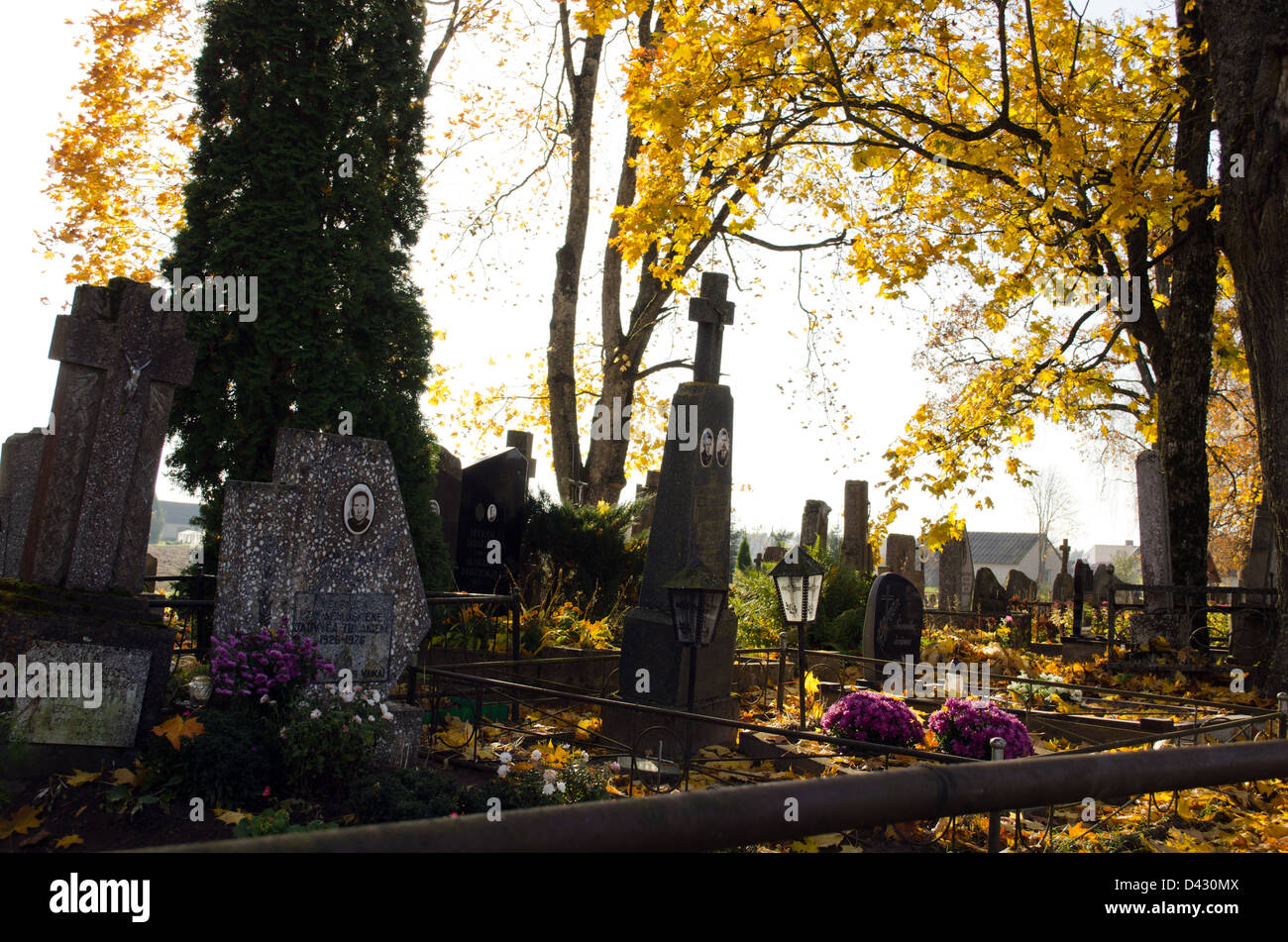 cemetery graveyard grave crosses stoneheads monument under autumn tree ...