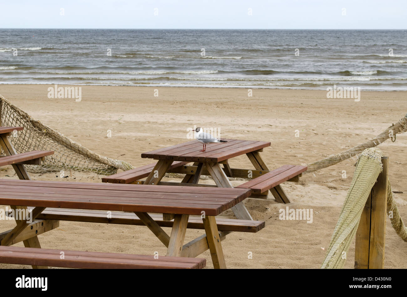wooden tables and benches on sea ocean beach and seagull gull Stock ...