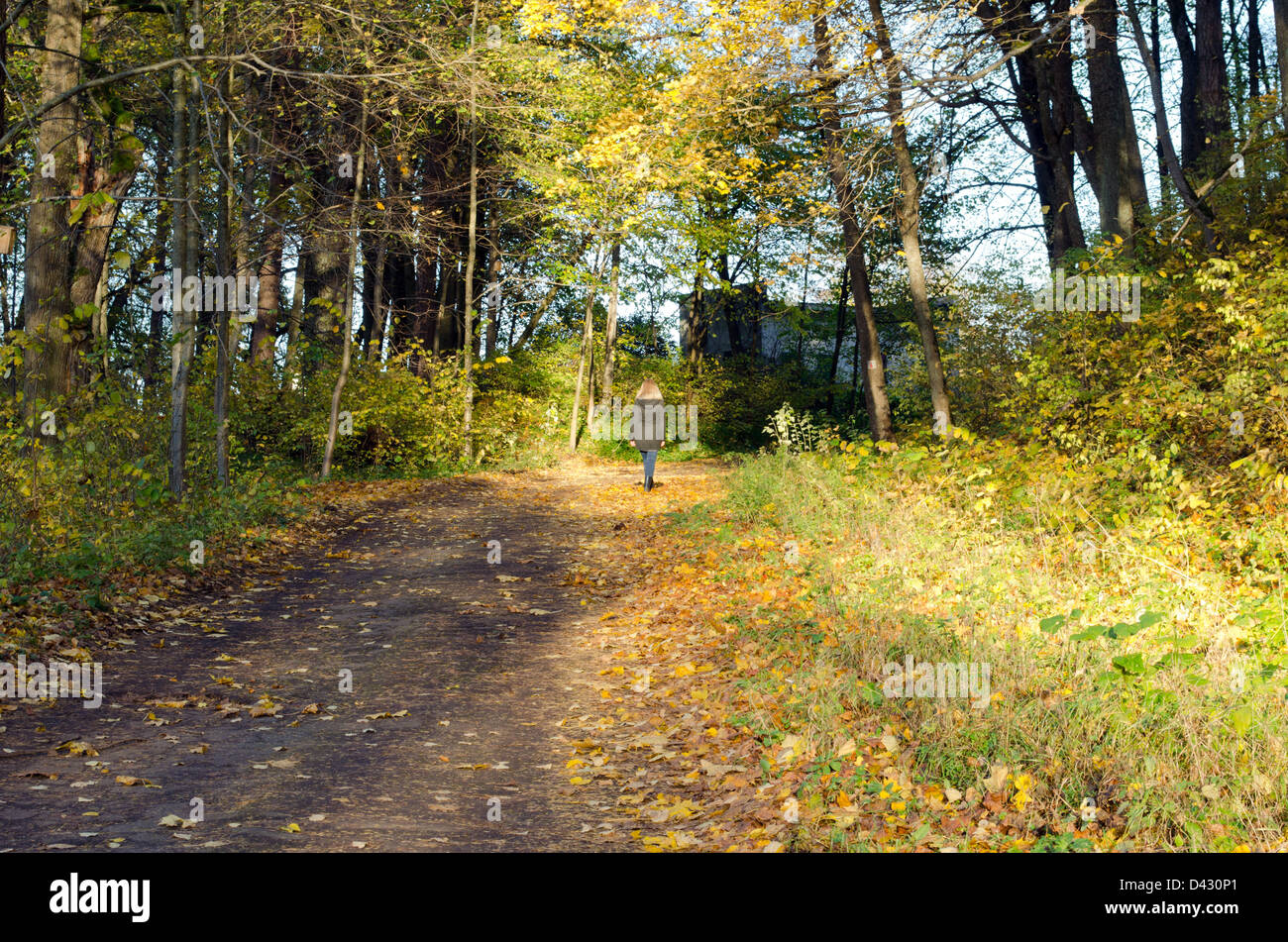 beautiful blond woman walking uphill between amazing sunlight autumn ...