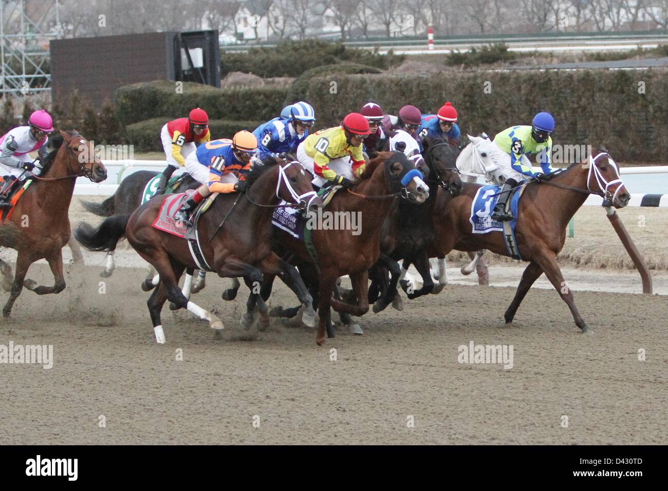 March 2, 2013 - Jamaica, New York, U.S. - Vyjack with Joel Rosario win ...