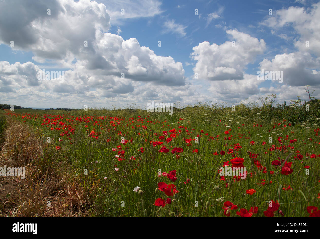 Whiteway cotswolds hi-res stock photography and images - Alamy