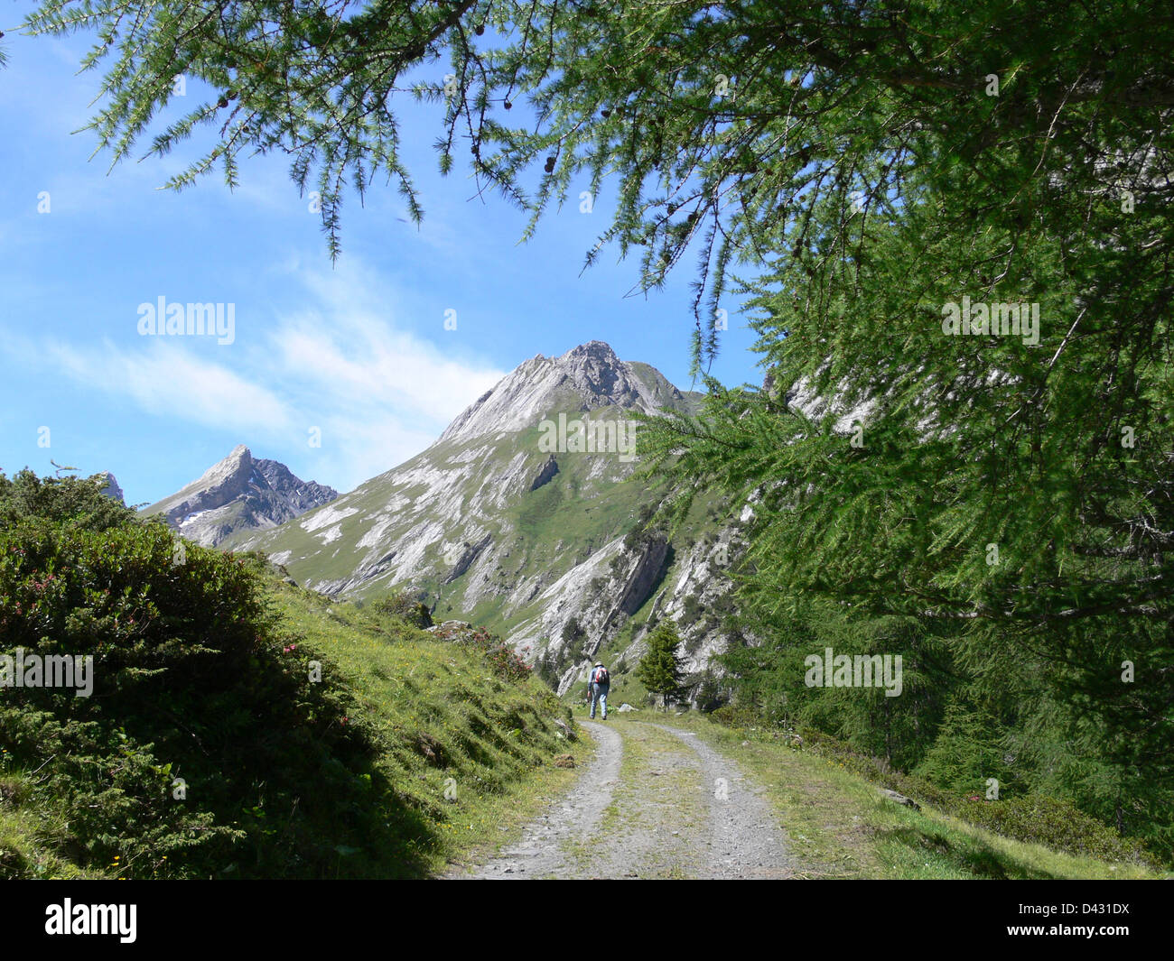 Liddes hi-res stock photography and images - Alamy