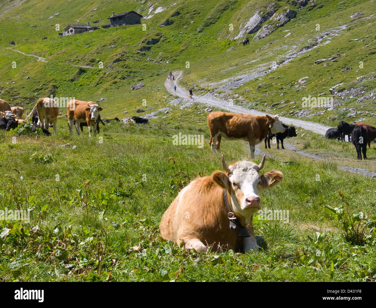 Liddes High Resolution Stock Photography and Images - Alamy