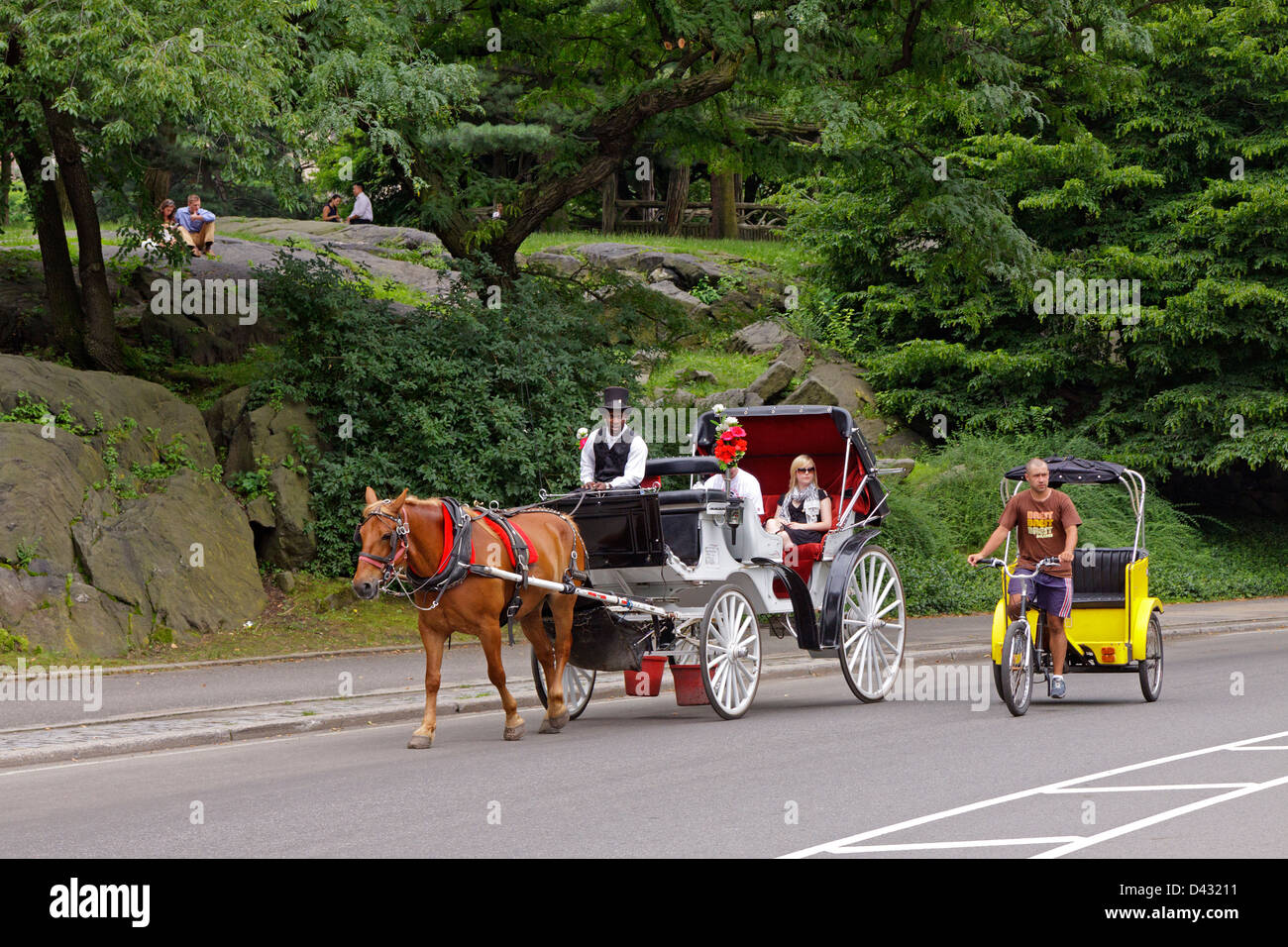 horse drawn carriage and rickshaw at Central Park, Manhattan, New York ...