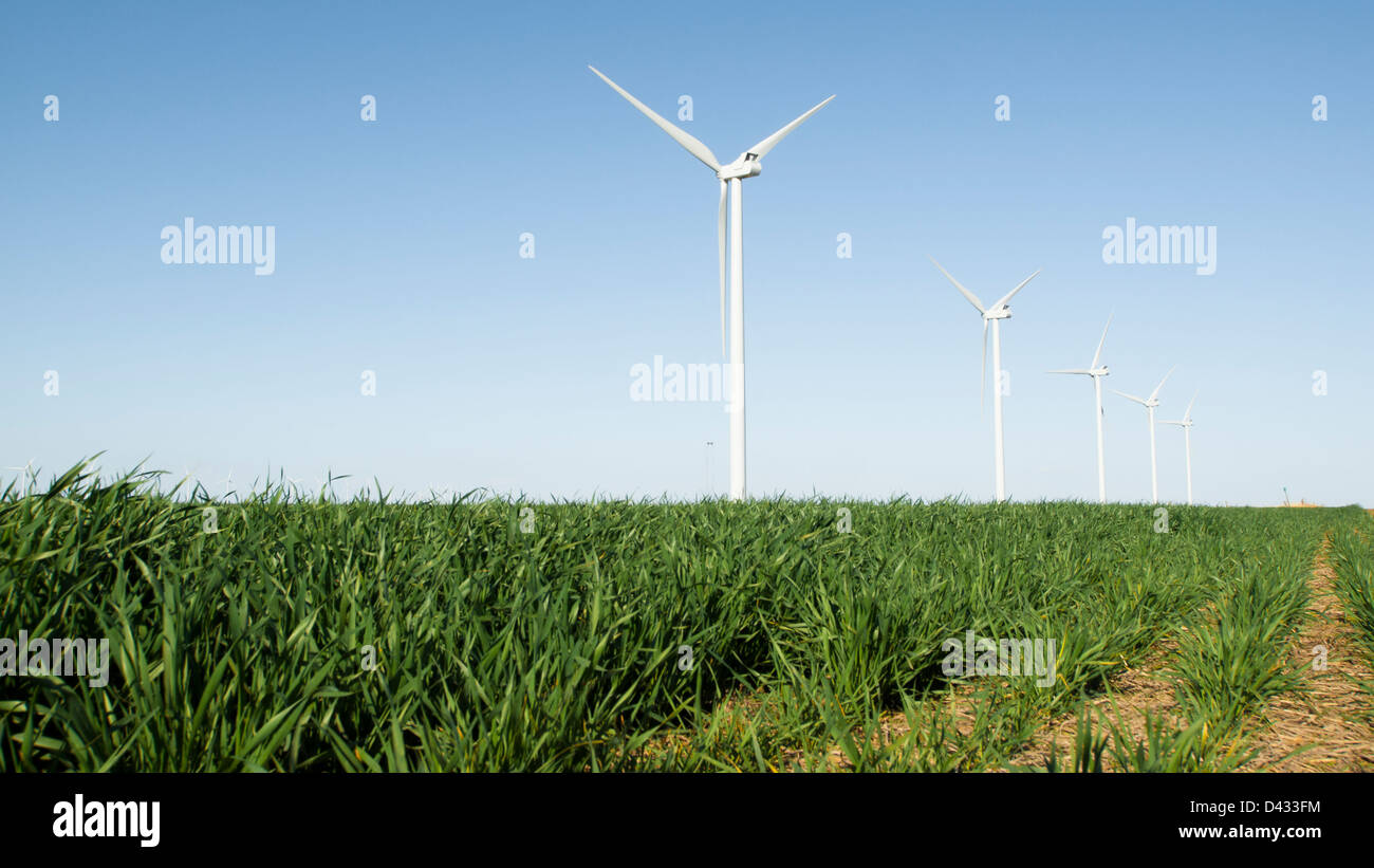 Wind turbines farm in Limon, Colorado Stock Photo - Alamy