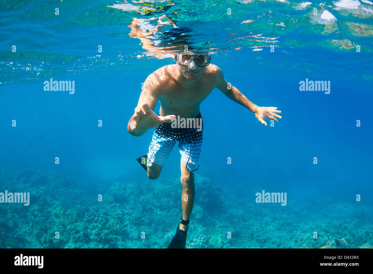 Young Man Snorkeling Underwater over Tropical Reef in Hawaii Stock ...