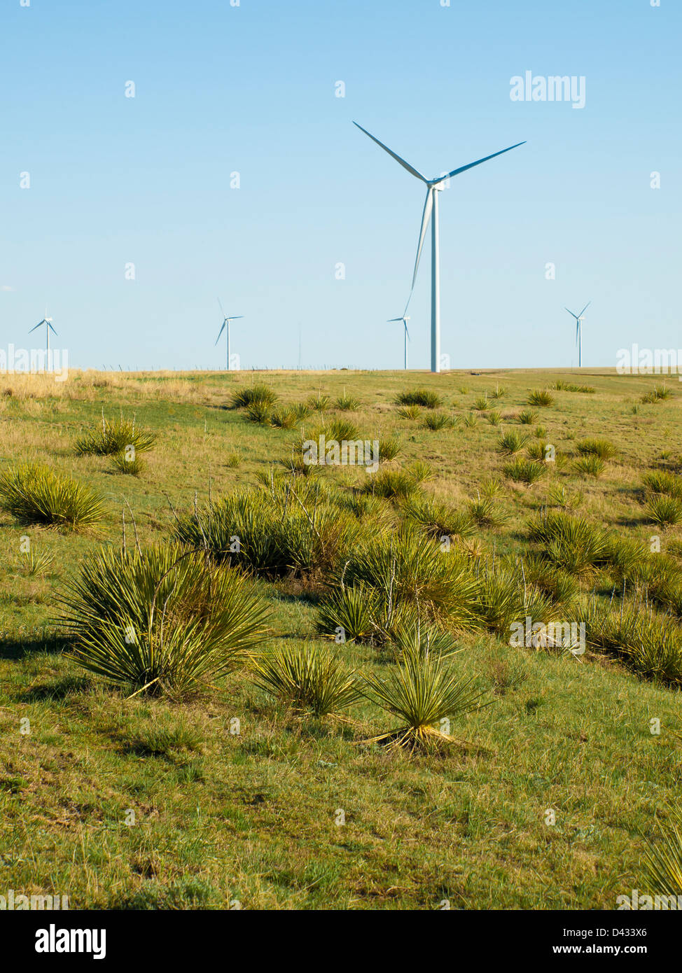 Wind turbines farm in Limon, Colorado Stock Photo - Alamy