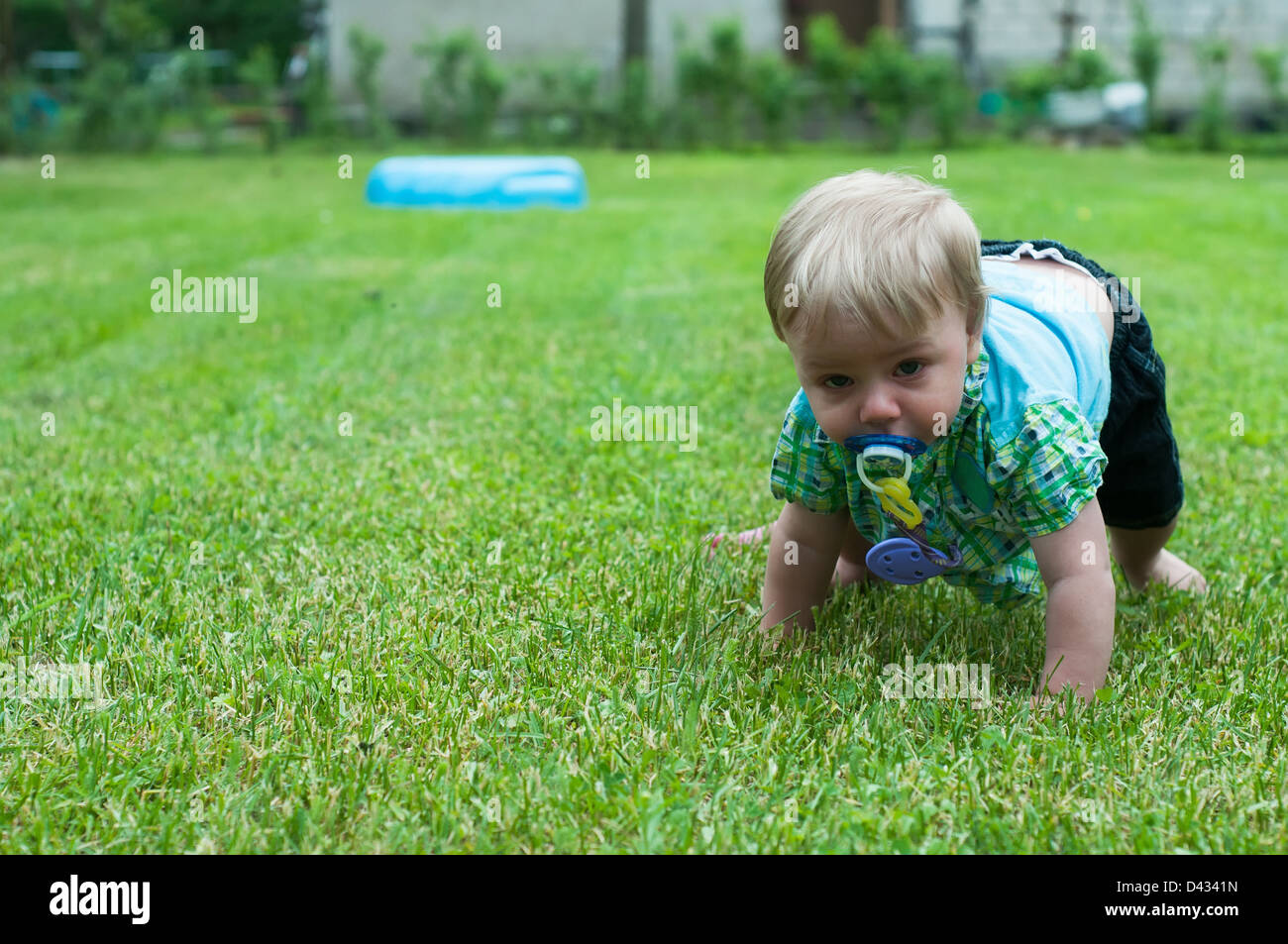 Shot of crawling baby boy on the green grass Stock Photo - Alamy
