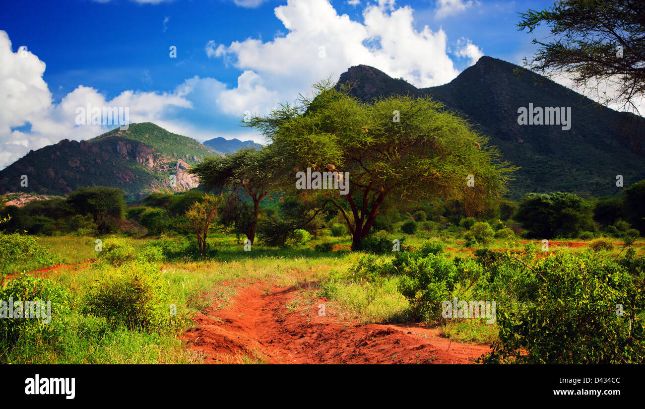 Red ground road and bush with savanna panorama landscape in Africa ...