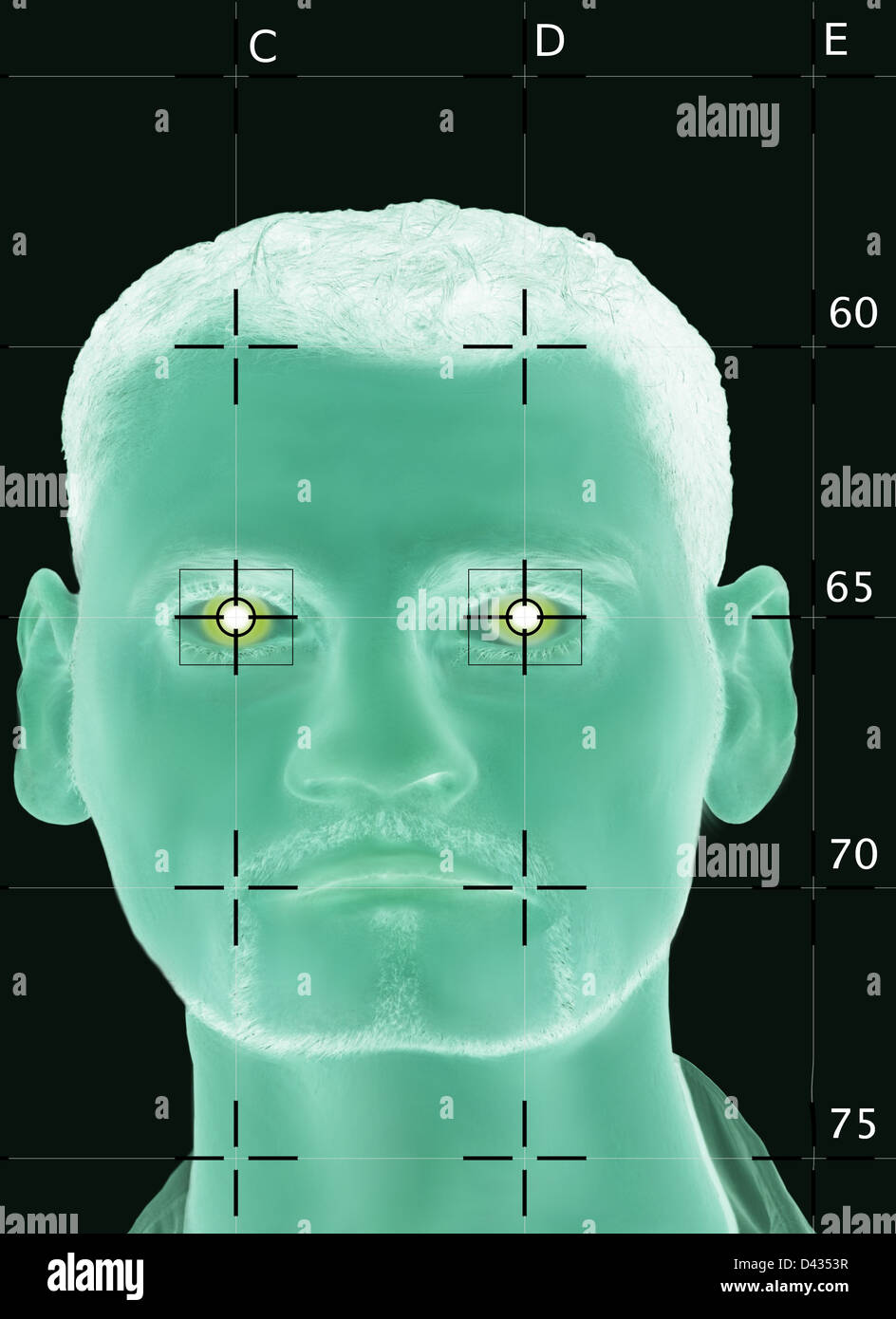 Scanned biometric face Stock Photo - Alamy