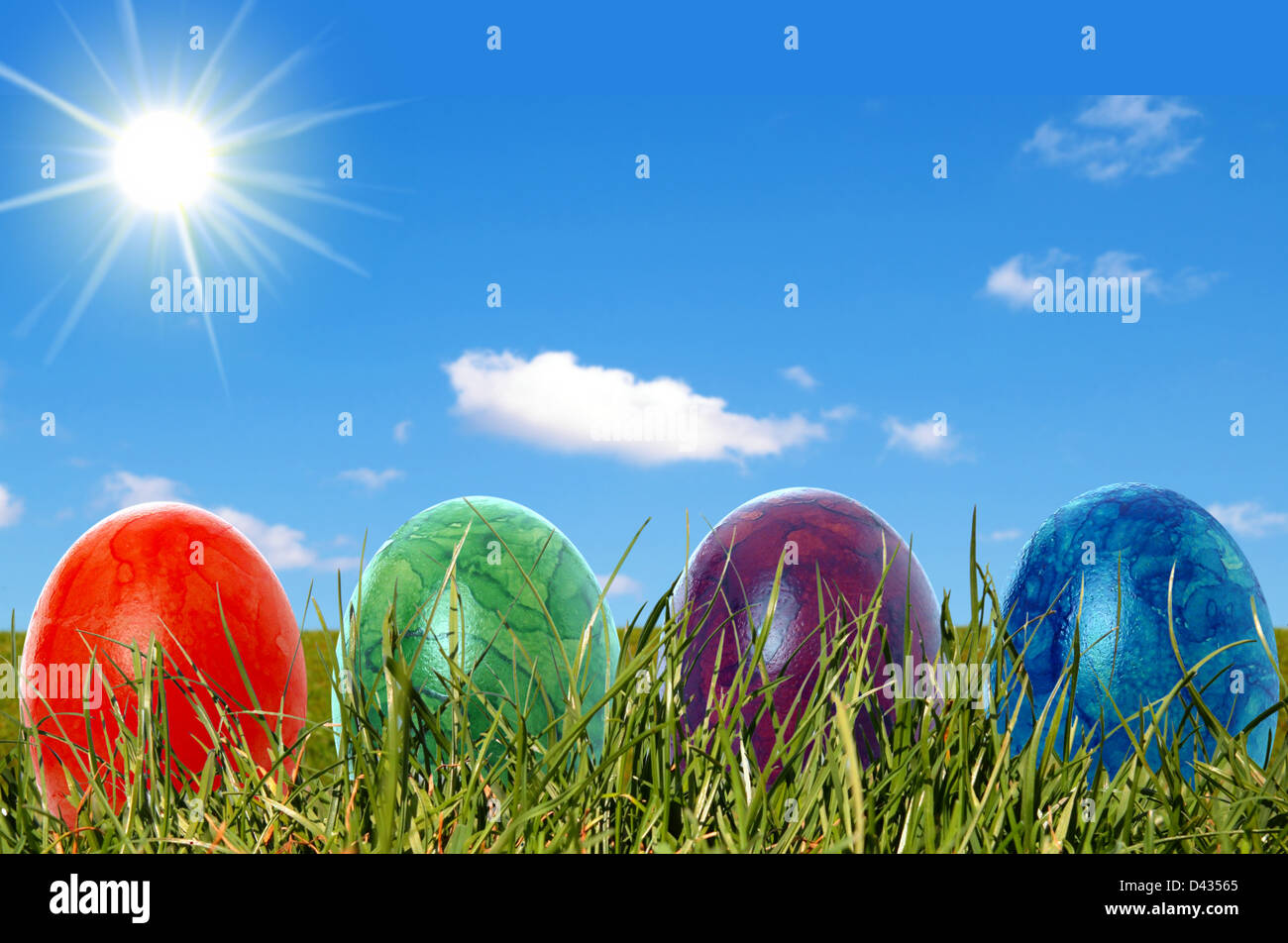 Easter bunny in the sun hi-res stock photography and images - Alamy