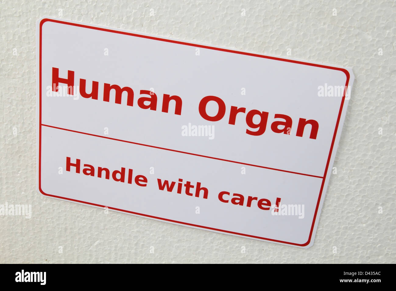 Human organ box hi-res stock photography and images - Alamy