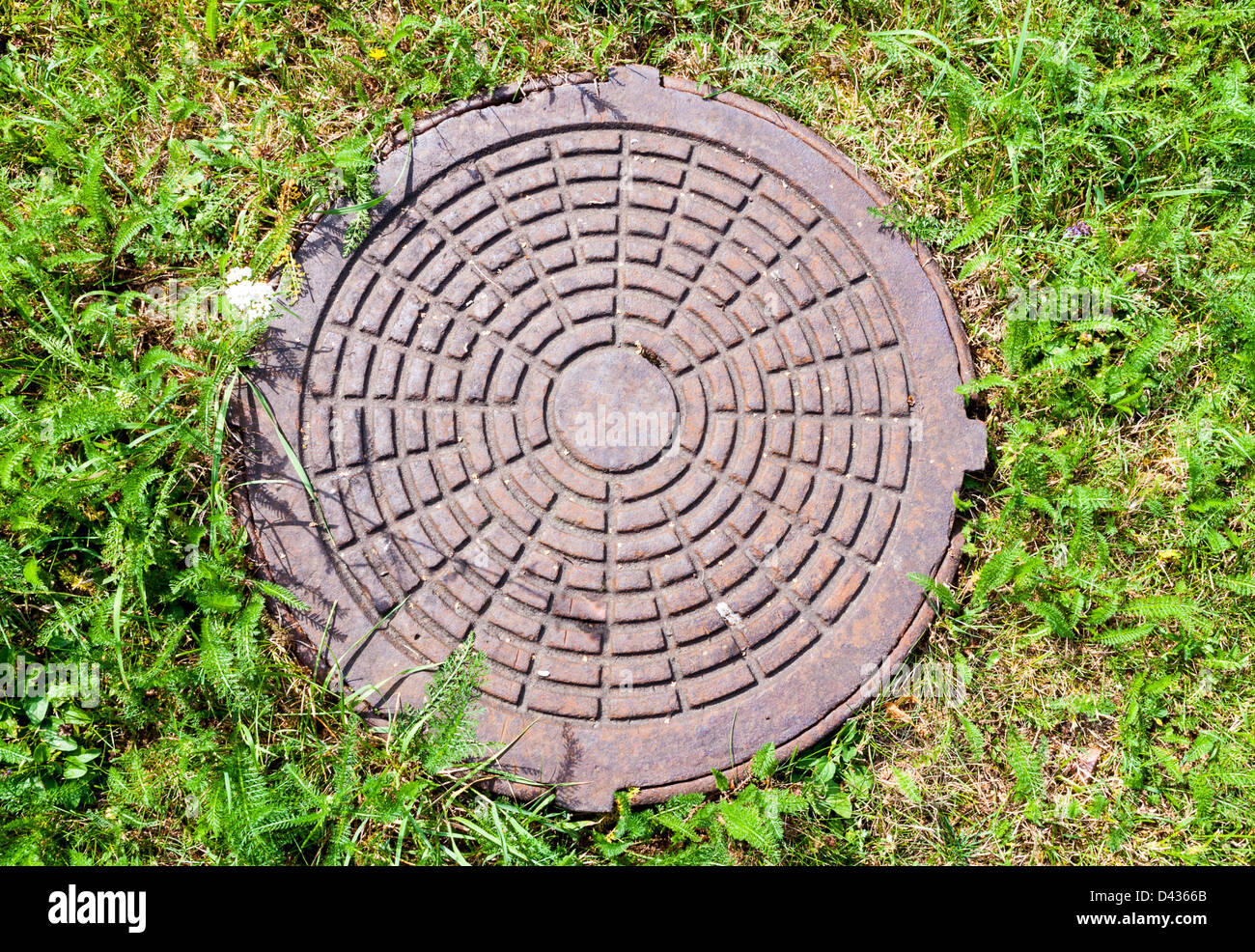old manhole on the background of green grass Stock Photo - Alamy