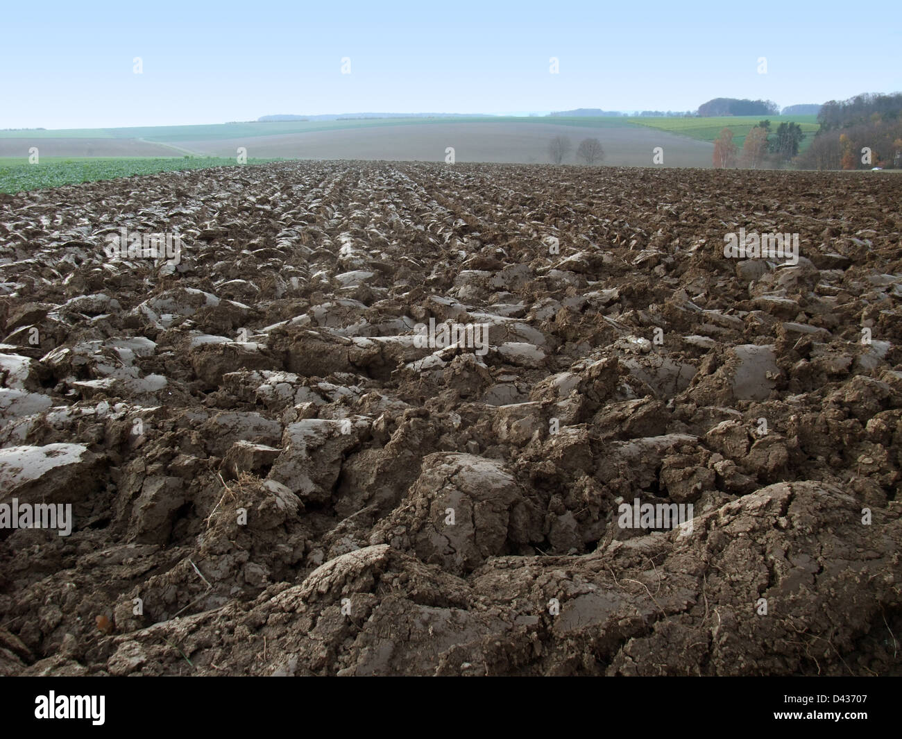 agricultural theme showing a low angle shot of a plowed field in ...