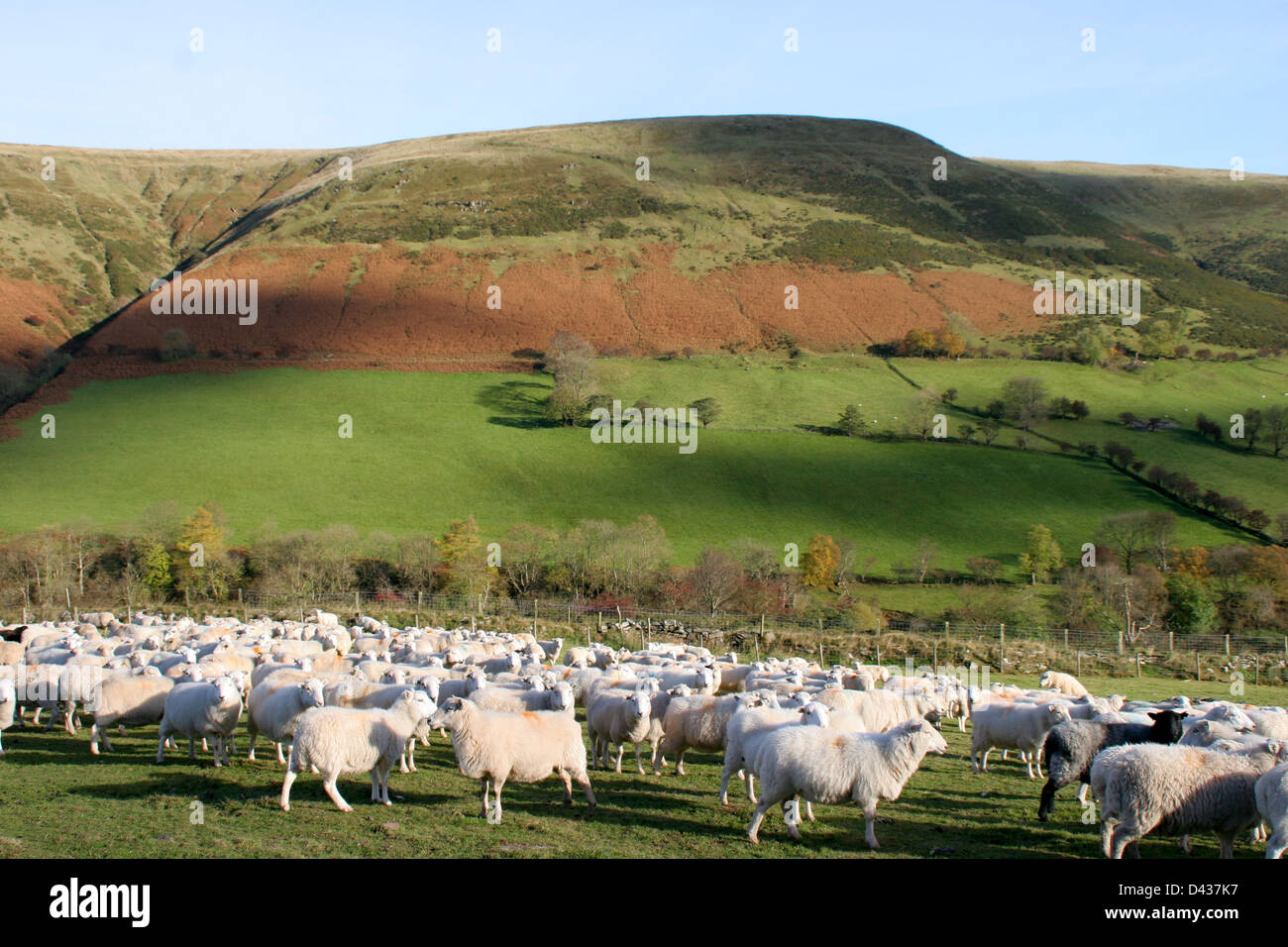 Hay bluff in black mountains hi-res stock photography and images - Alamy