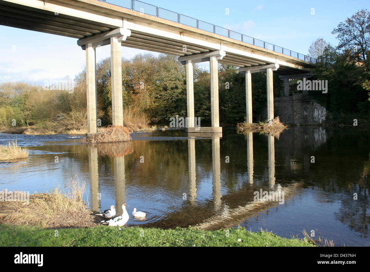 Source of the wye hi-res stock photography and images - Alamy